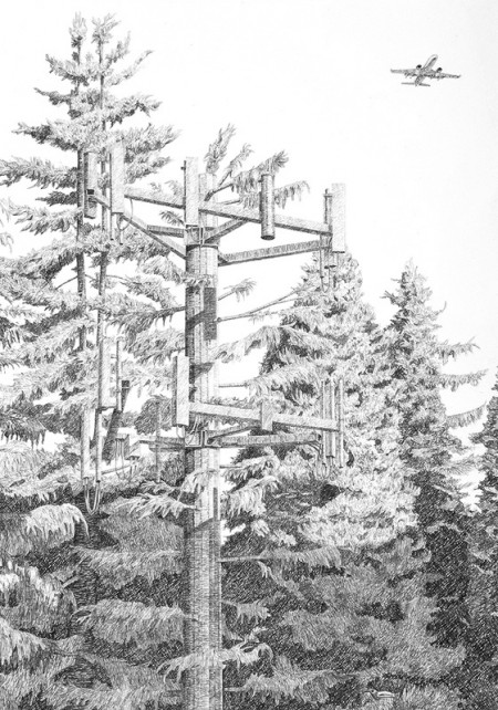 Art Focus: Jennifer Celio « Arrested Motion