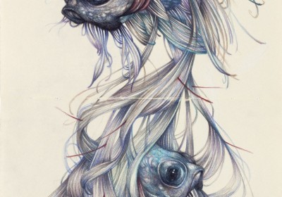 February « 2013 « Arrested Motion